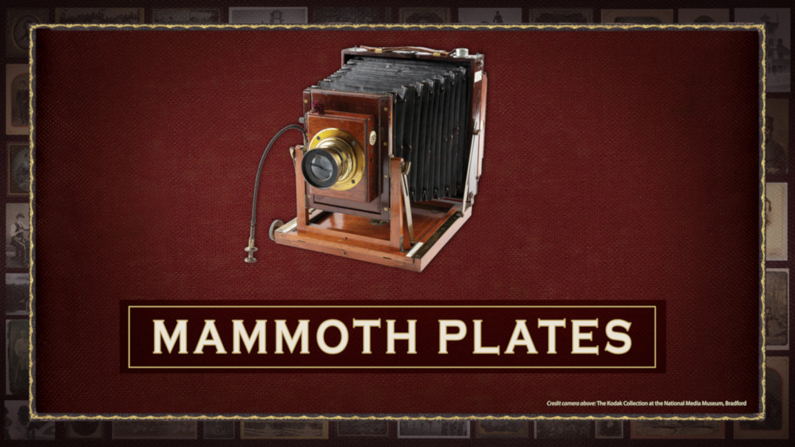 Mammoth Plates - California State Capitol Museum